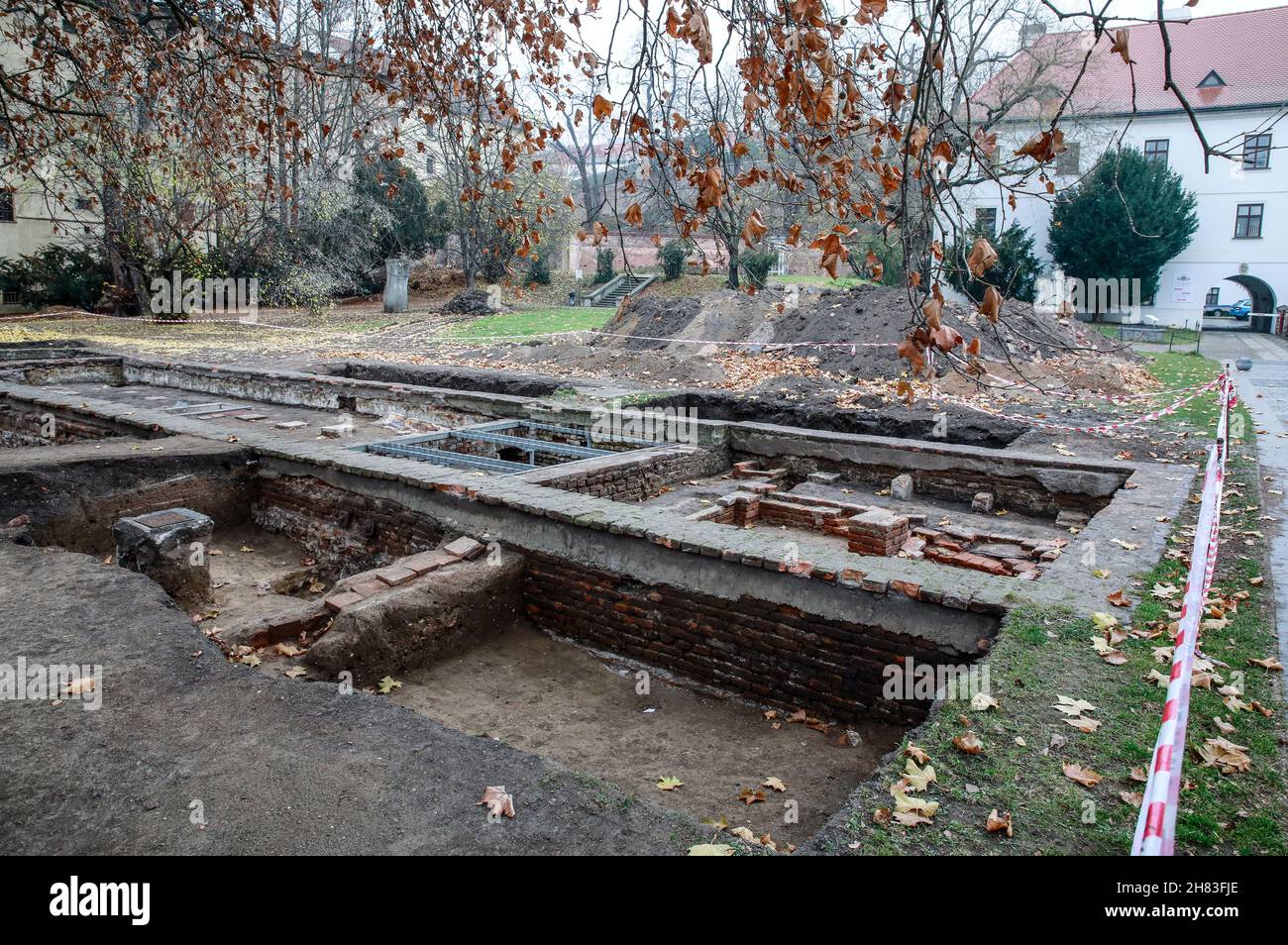 Brno, Czech Republic. 26th Nov, 2021. The Napp's Glasshouse basics ...