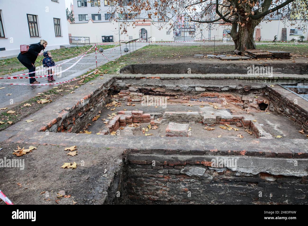 Brno, Czech Republic. 26th Nov, 2021. The Napp's Glasshouse basics ...