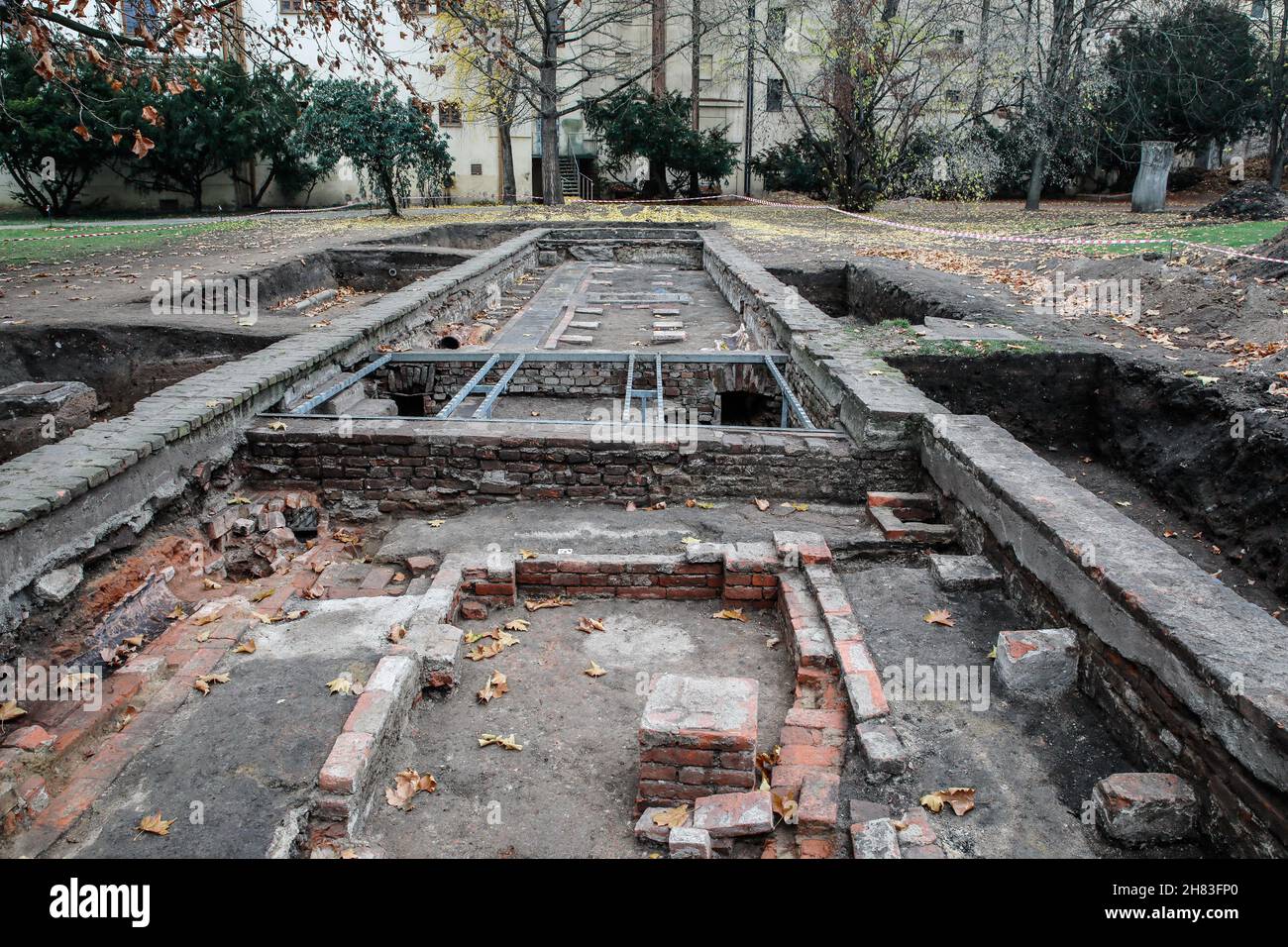 Brno, Czech Republic. 26th Nov, 2021. The Napp's Glasshouse basics ...