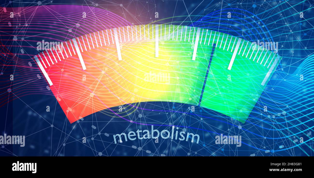 Metabolism level scale with arrow. The measuring device icon. Sign ...
