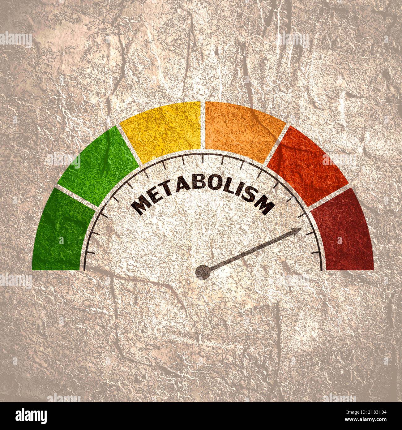 Metabolism level scale with arrow. The measuring device icon. Sign ...