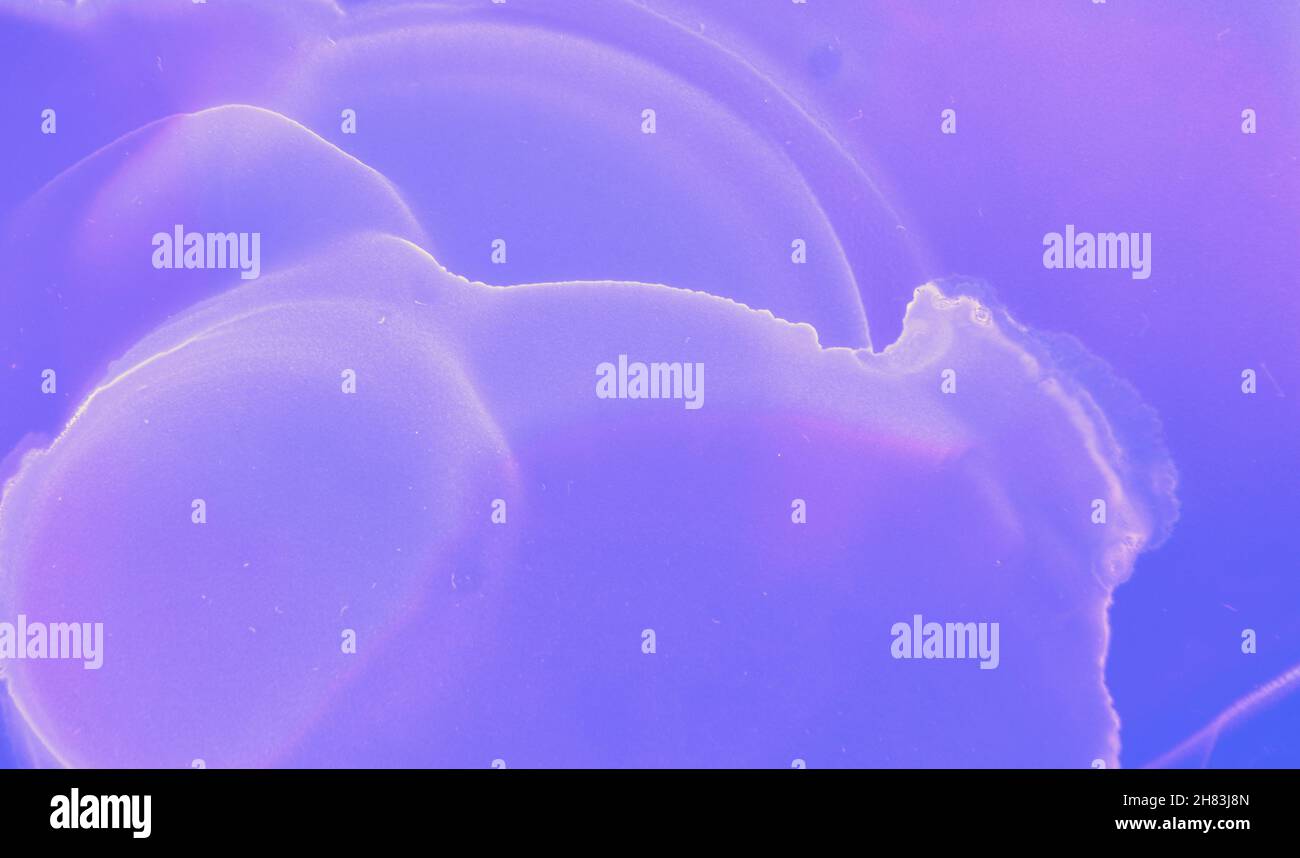 Abstract Flow Gradient. Pink Watercolor Modern Stock Photo - Alamy