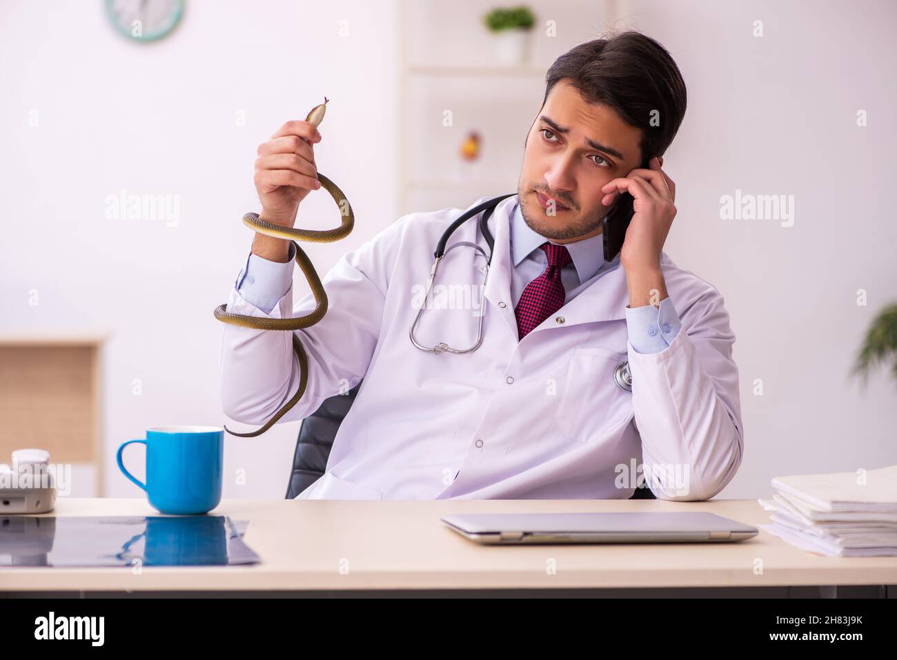Snakebite first aid hi-res stock photography and images - Alamy
