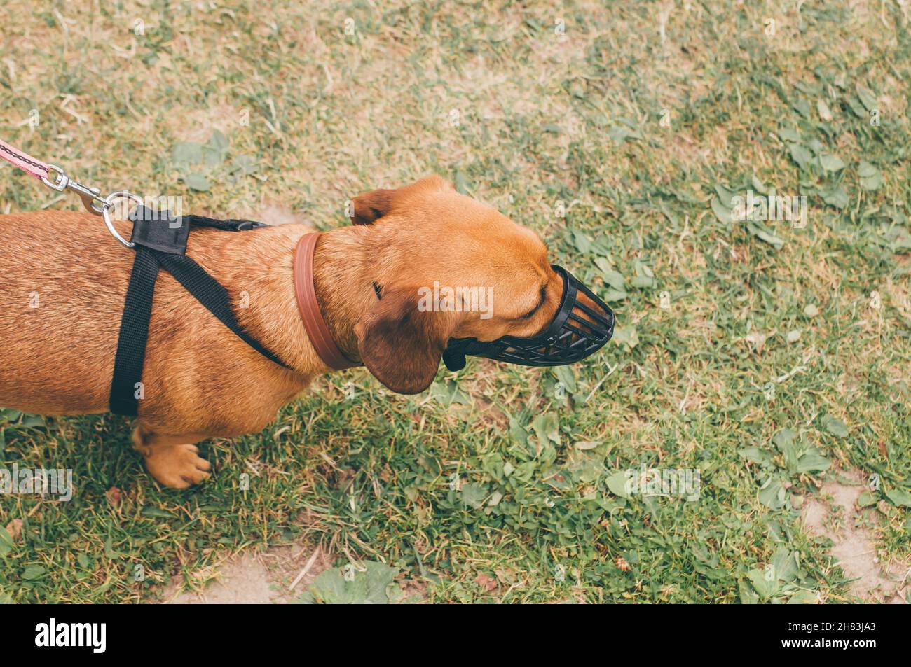 Colours contrast hi-res stock photography and images - Alamy