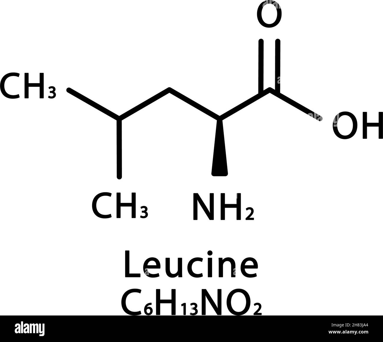 Leucine molecular structure. Leucine skeletal chemical formula ...