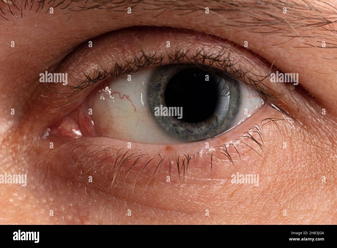 male blue eye close up Stock Photo - Alamy