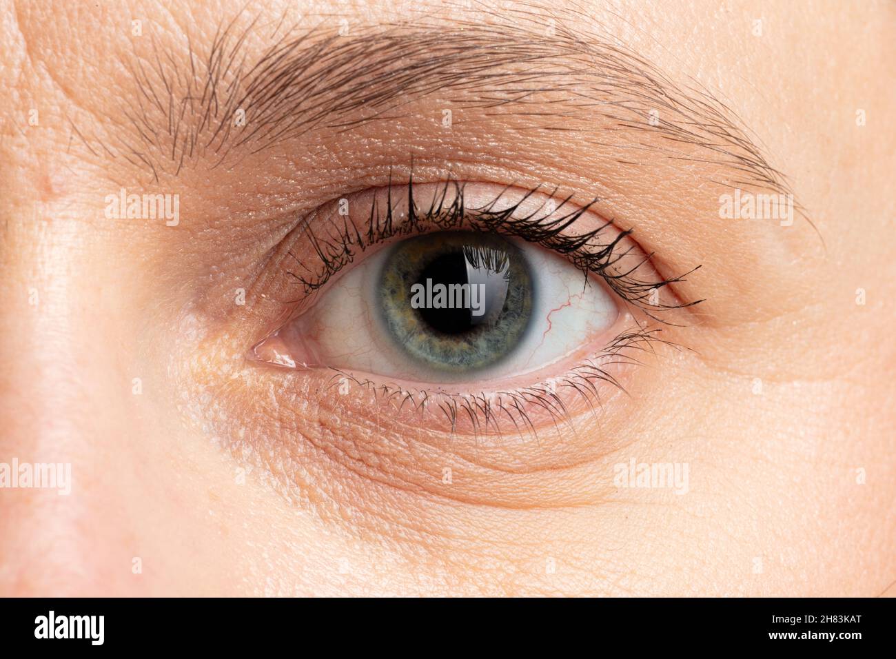 woman's blue eye close up Stock Photo - Alamy