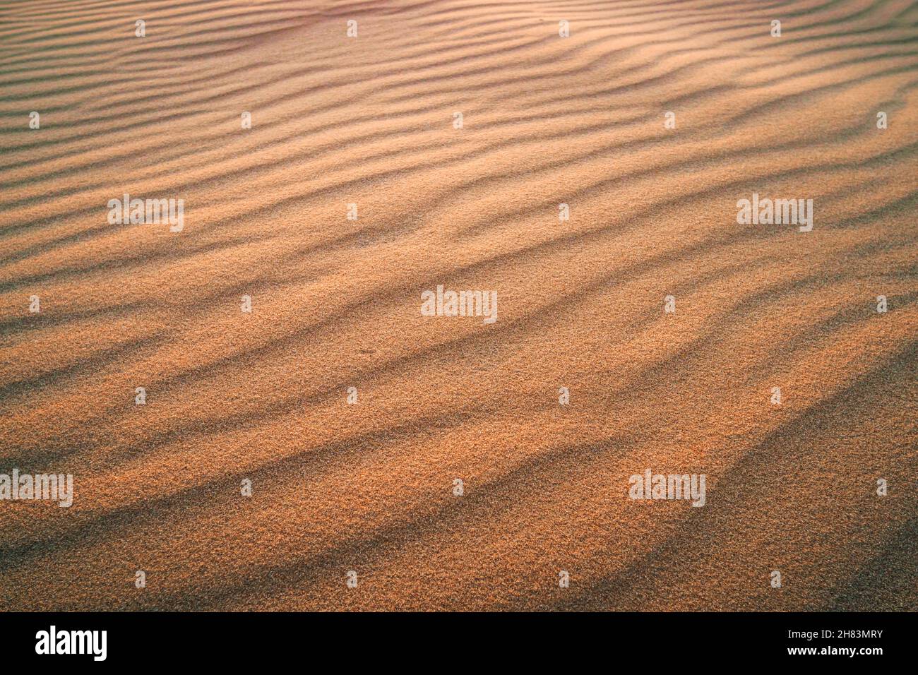 texture of strips in the sand from the wind dune in desert Stock Photo ...