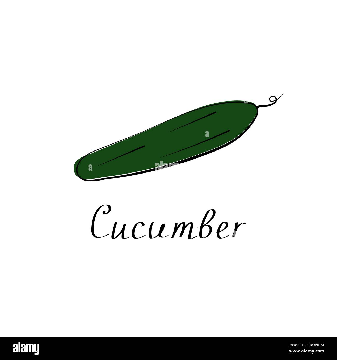 Cucumber illustration isolated on white background. Vector flat sign ...