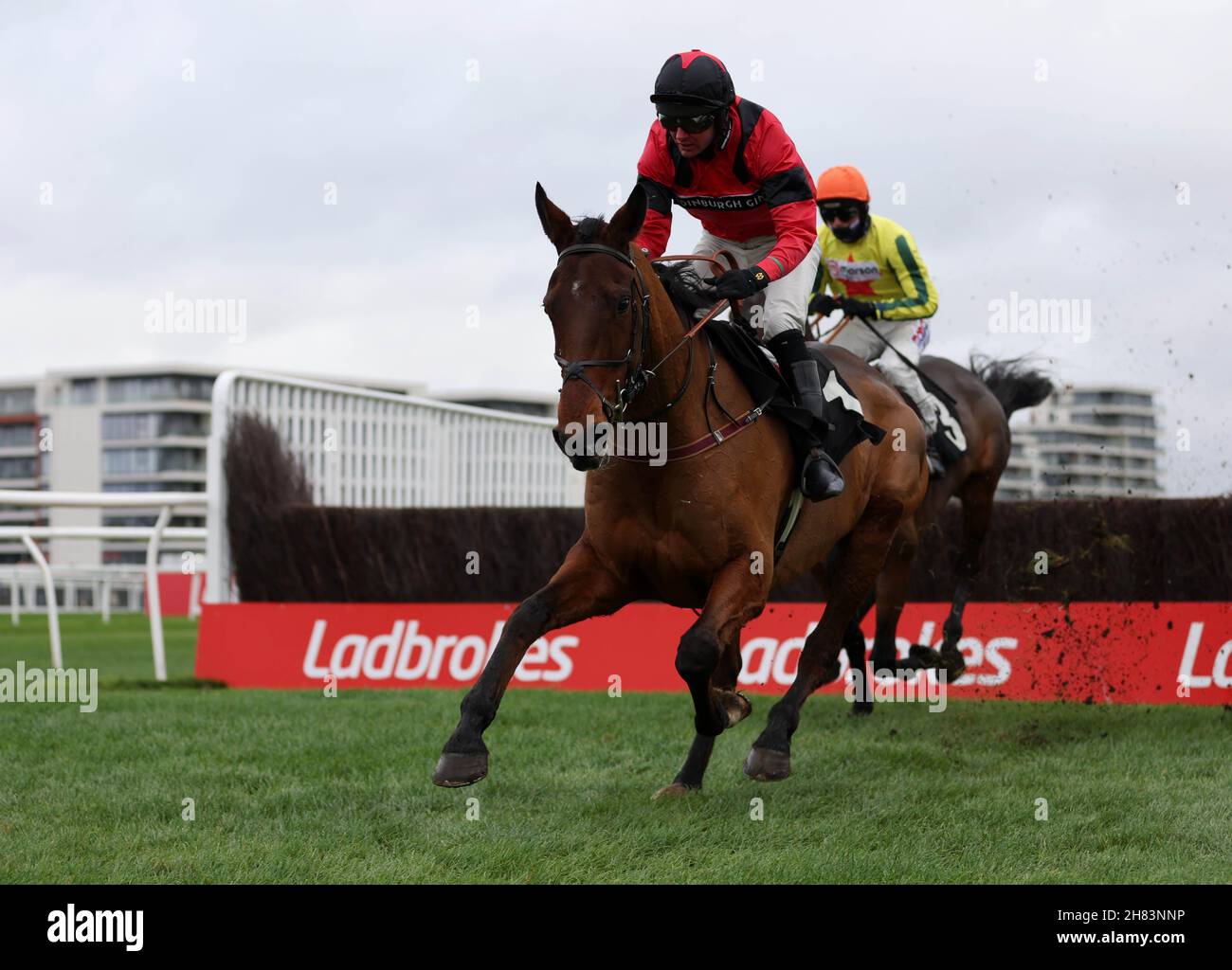 John derek horse hi-res stock photography and images - Alamy