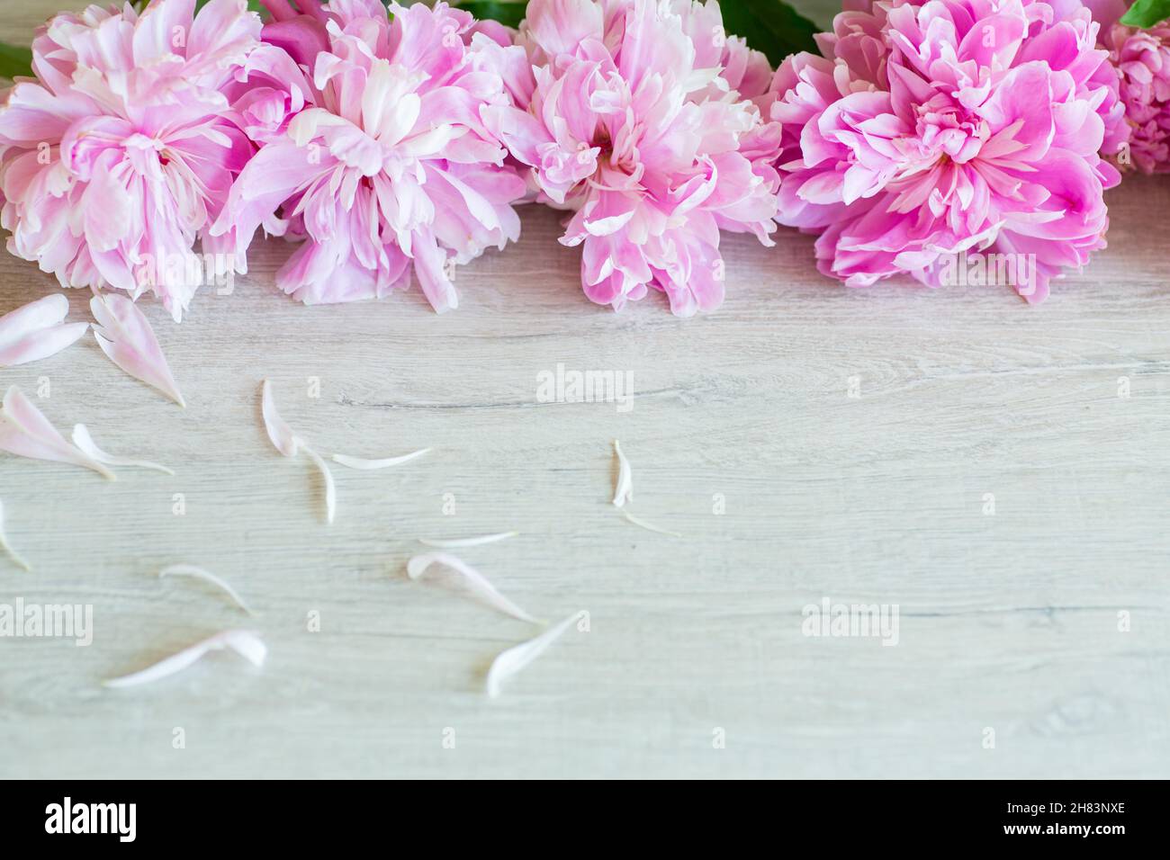 several branches of blooming pink peonies on a wooden table Stock Photo ...