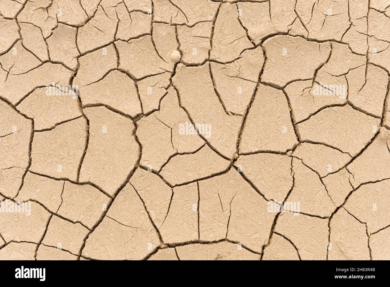 Dry land. Cracked ground background Stock Photo - Alamy