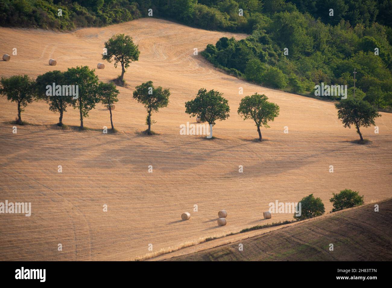 Rural landscape with farm fields and trees Stock Photo - Alamy
