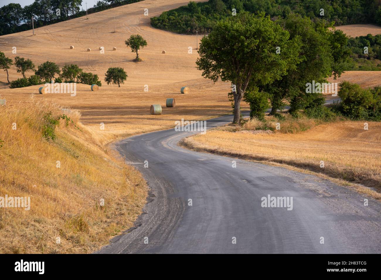 Rural landscape with winding road among farm fields in countryside ...