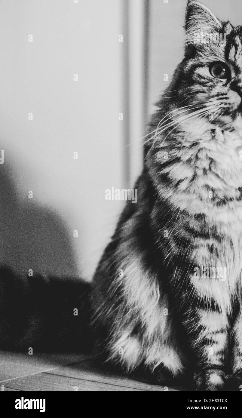 Full body fun hi-res stock photography and images - Alamy