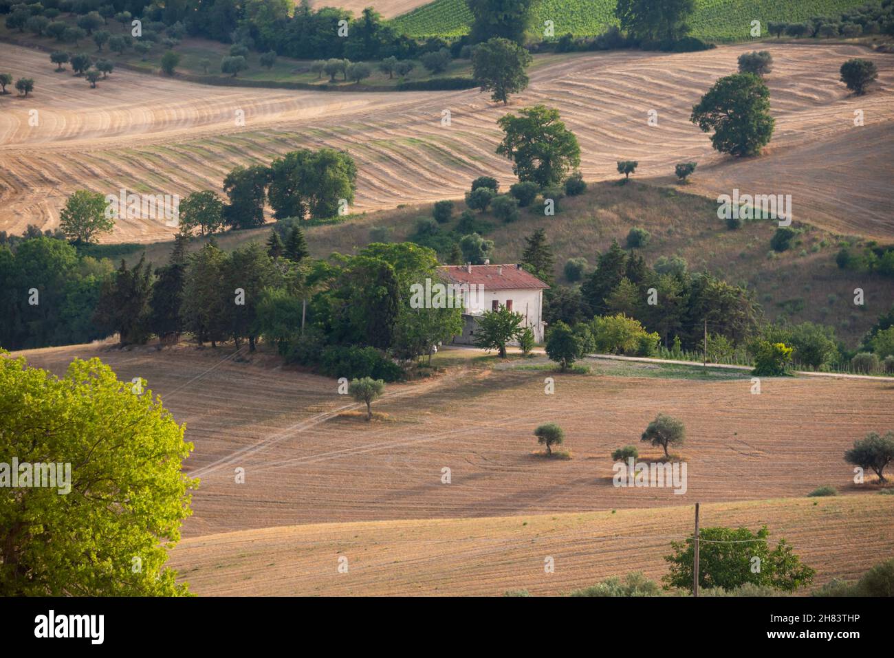 Rural landscape with farm fields, houses and trees Stock Photo - Alamy