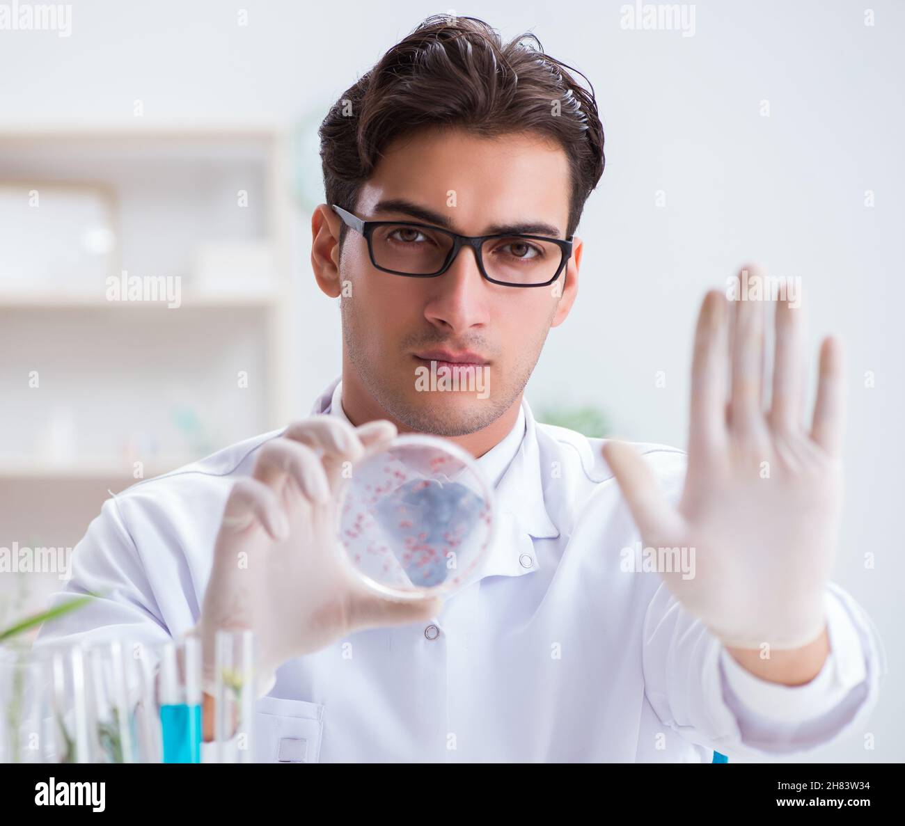 The biotechnology scientist chemist working in lab Stock Photo - Alamy