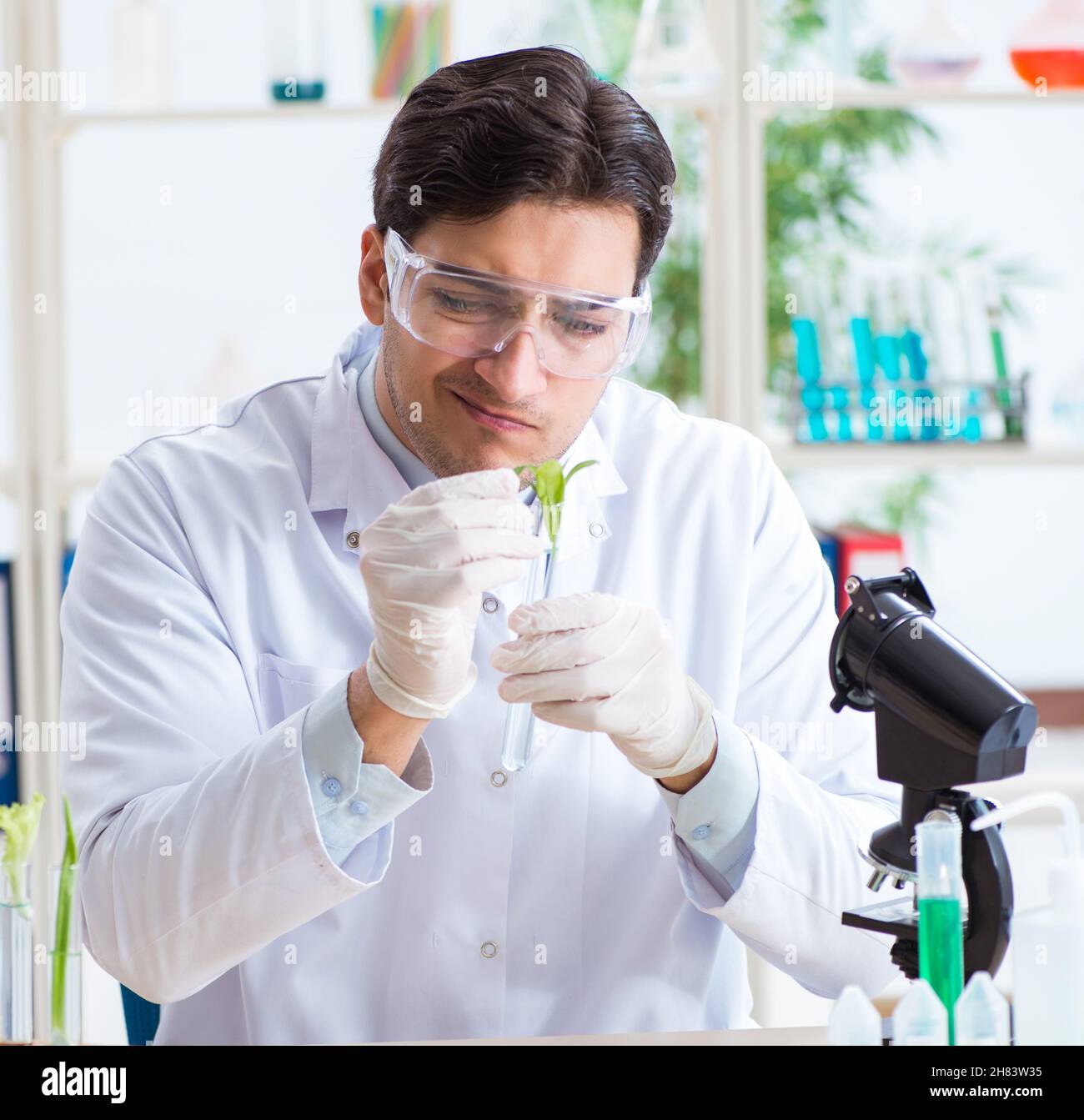The male biochemist working in the lab on plants Stock Photo - Alamy
