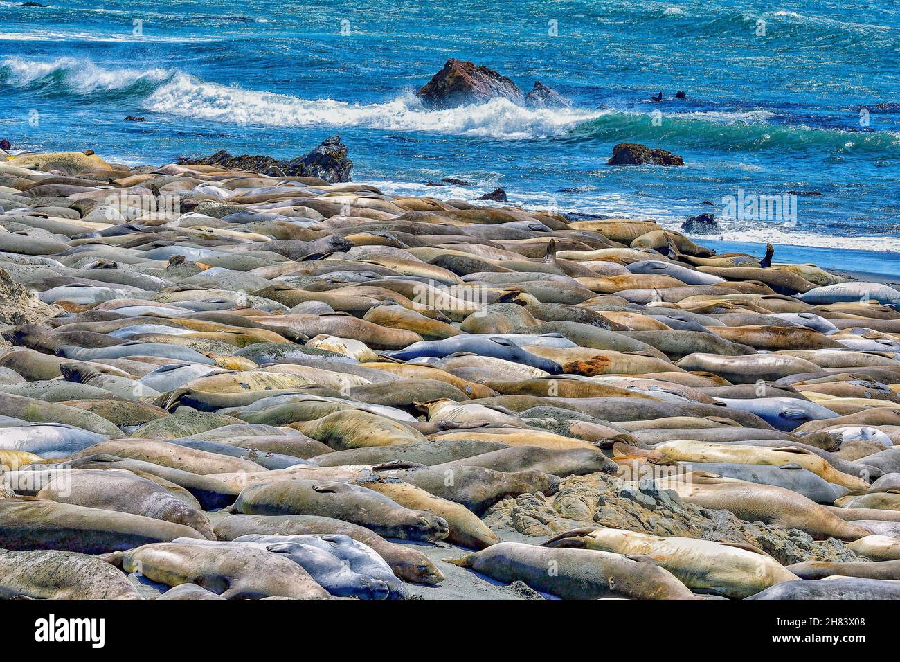 Siesta time hi-res stock photography and images - Alamy
