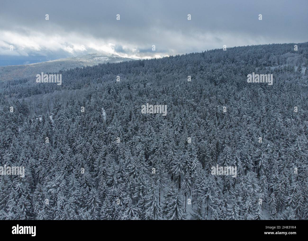 Schmitten, Germany. 27th Nov, 2021. The first snow covers the treetops ...