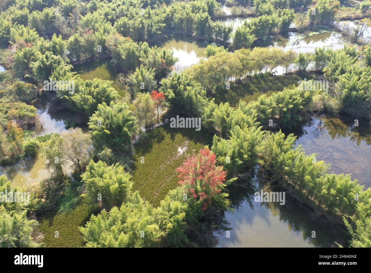 Guilin. 27th Nov, 2021. Aerial photo taken on Nov. 27, 2021 shows the winter scenery of the ...