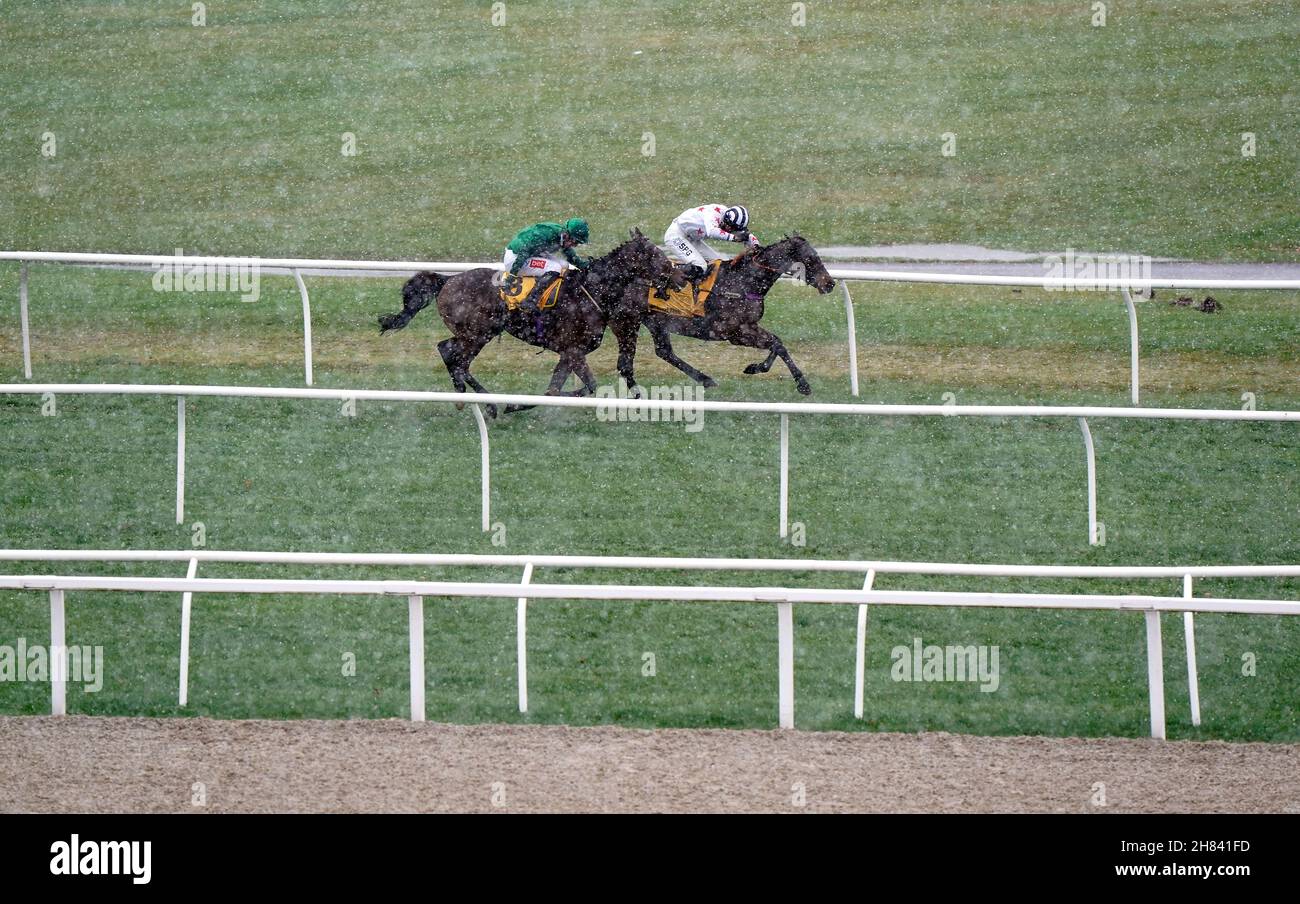 Good boy bobby horse hi-res stock photography and images - Alamy