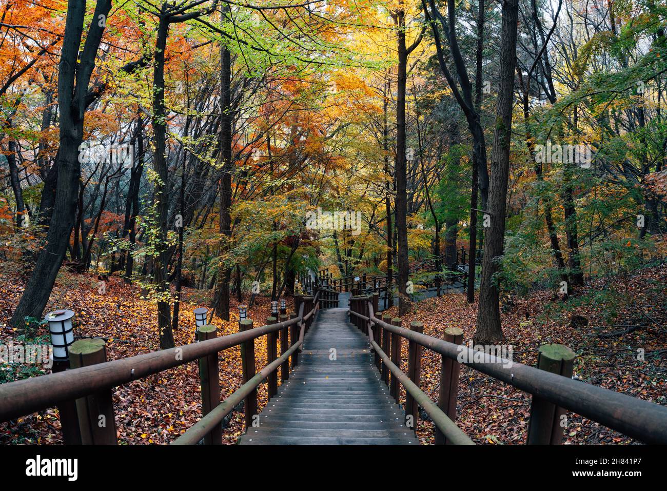 Wolmido island Wolmisan mountain trail at autumn in Incheon, Korea ...