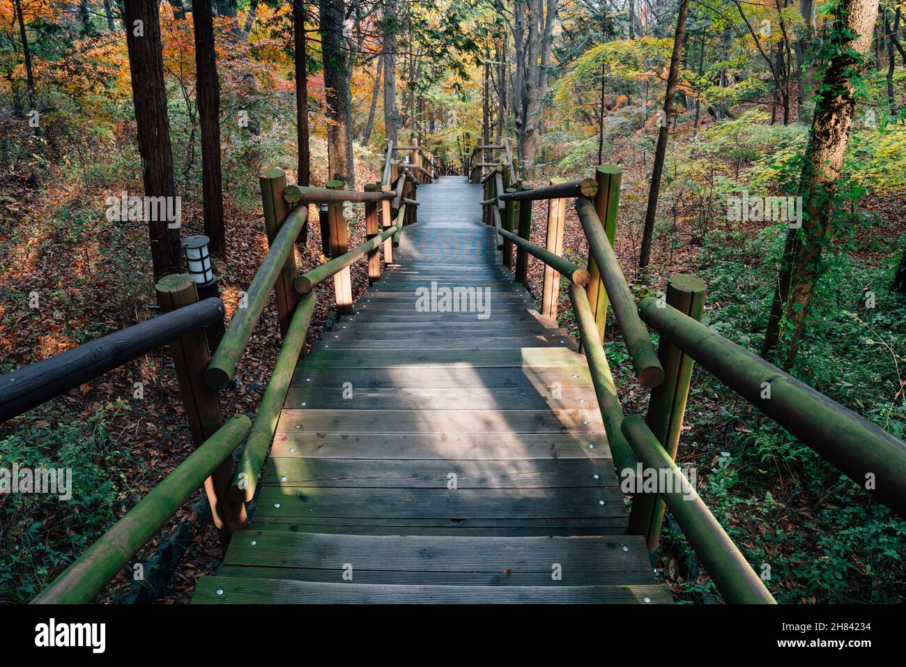 Wolmido island Wolmisan mountain trail at autumn in Incheon, Korea ...
