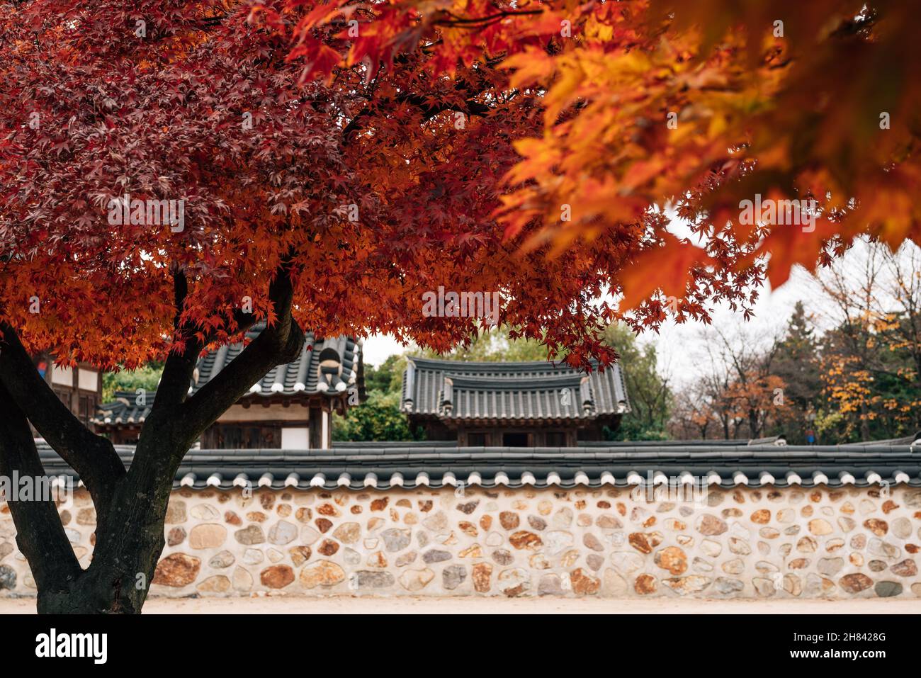 Autumn of Wolmi Park traditional garden in Incheon, Korea Stock Photo ...