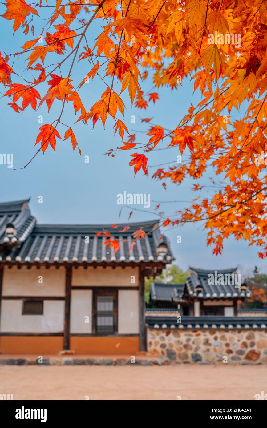 Autumn of Wolmi Park traditional garden in Incheon, Korea Stock Photo ...