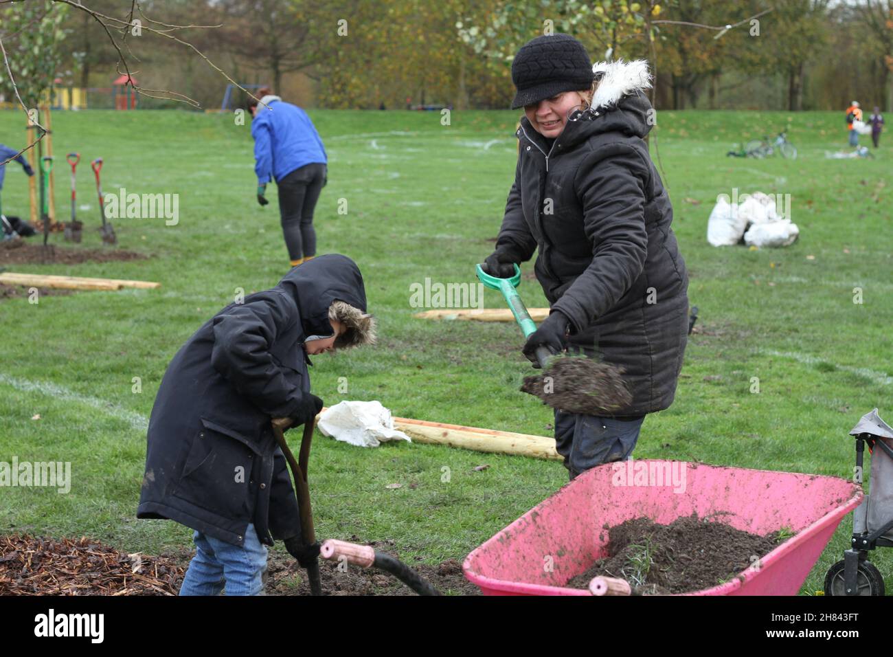 Colchester, UK. 27th Nov 2021. People of Colchester take part in a tree ...