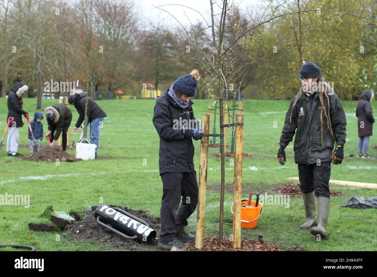 National tree week 2021 hi-res stock photography and images - Alamy
