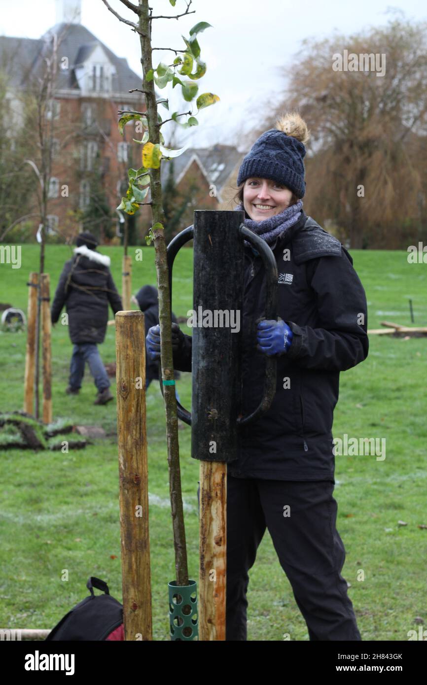 Colchester, UK. 27th Nov 2021. People of Colchester take part in a tree ...