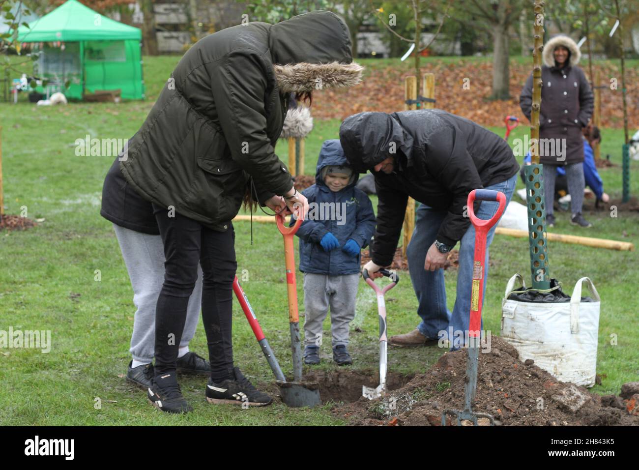 Tree planting family uk hi-res stock photography and images - Alamy