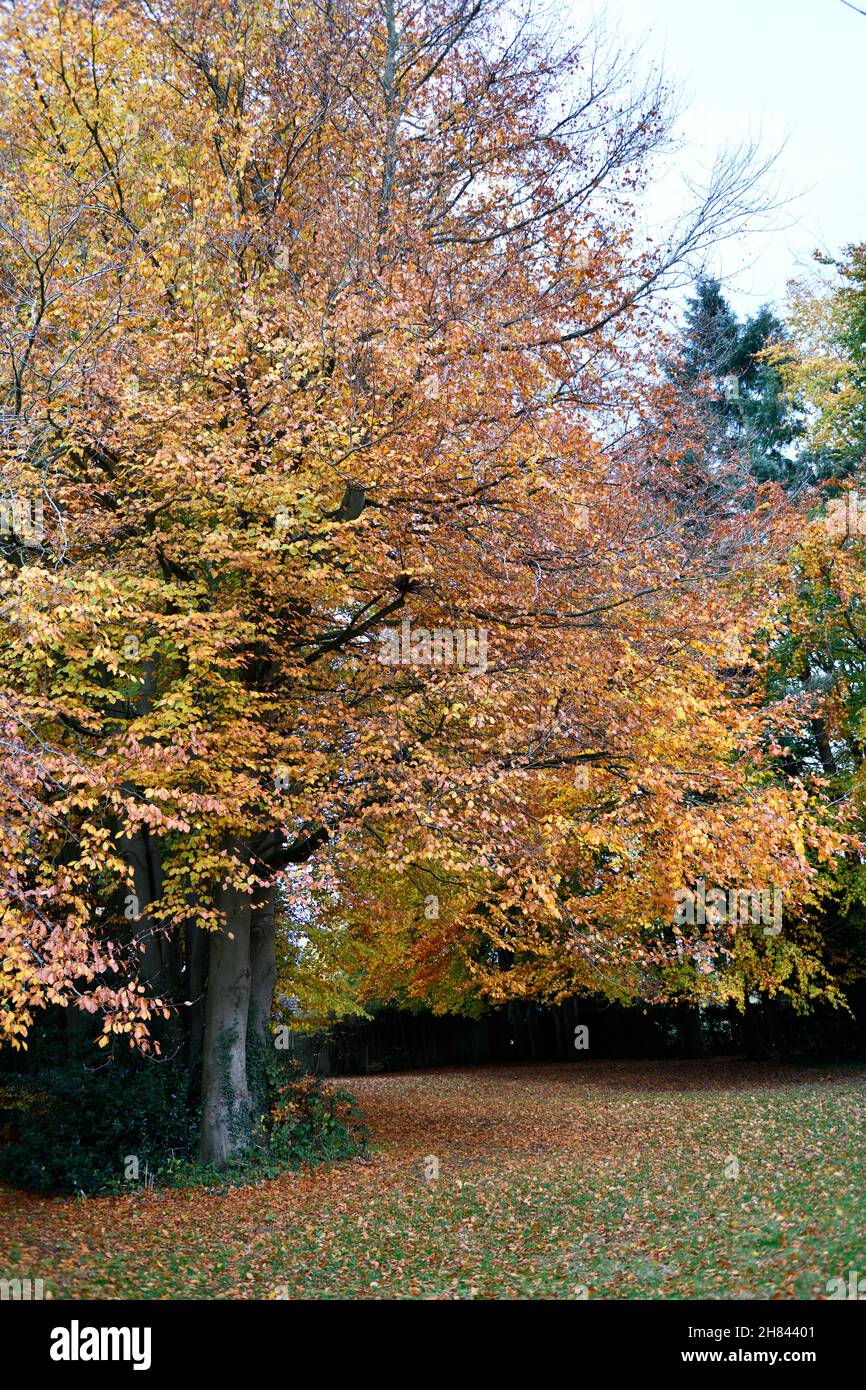 Colours hi res hi-res stock photography and images - Alamy