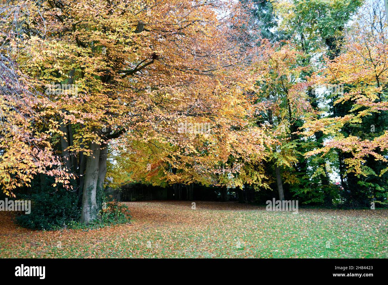 Colours hi res hi-res stock photography and images - Alamy