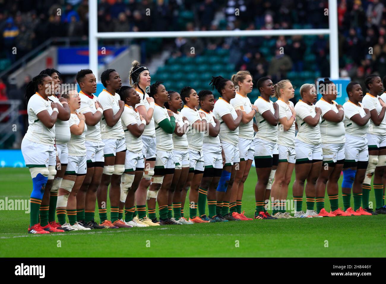 Springboks rugby 2021 hi-res stock photography and images - Alamy