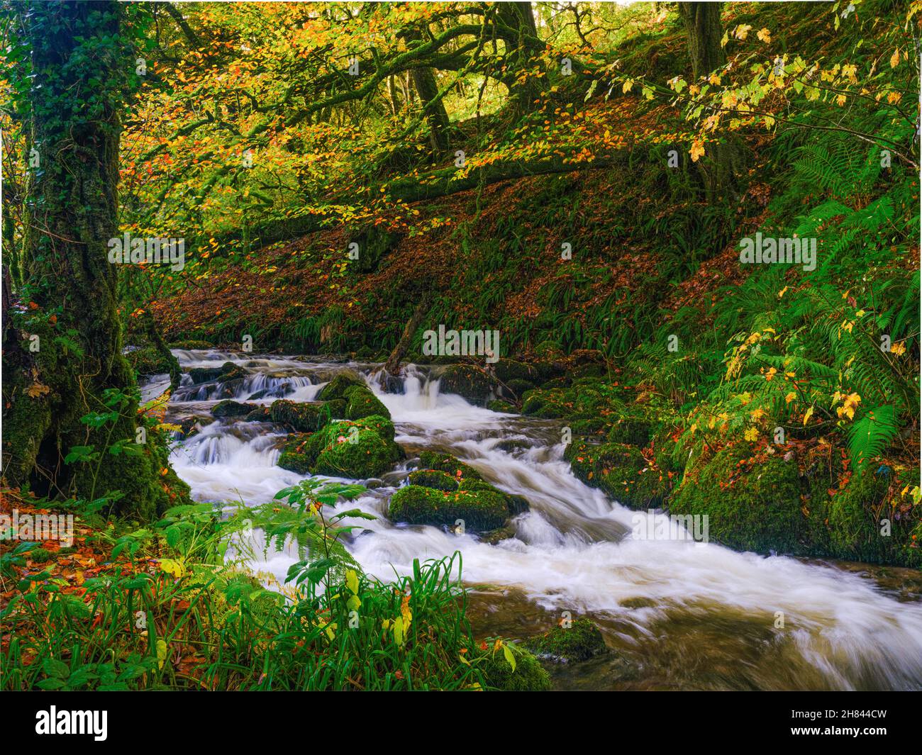 Barle travel hi-res stock photography and images - Alamy