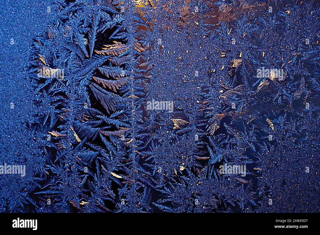 Windowpane pattern hi-res stock photography and images - Alamy