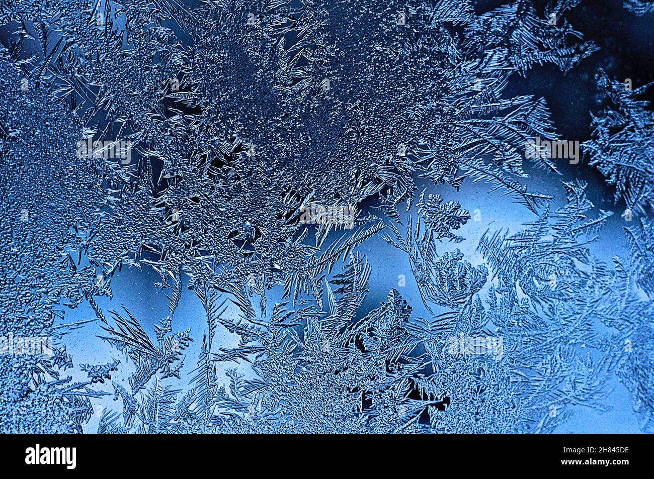 Frozen winter window icy frosty frame with crystal ice flowers. macro ...