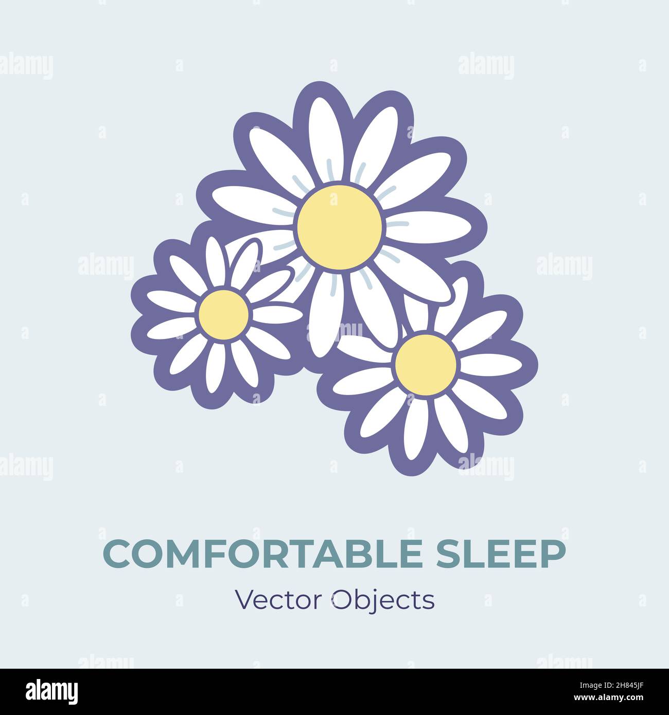 Lavender chamomile on white Stock Vector Images - Alamy