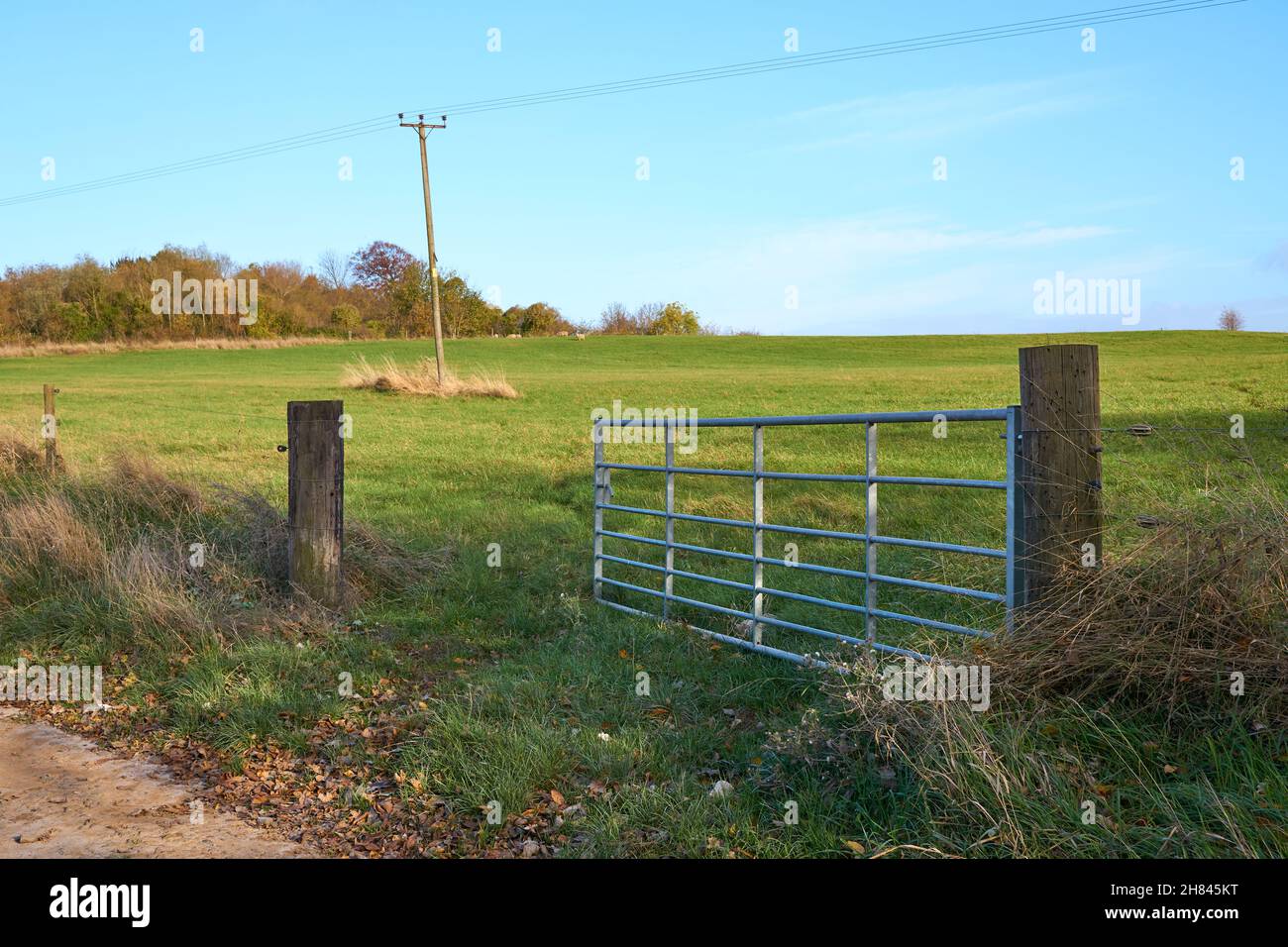 Open farm gate to a pasture field Stock Photo - Alamy