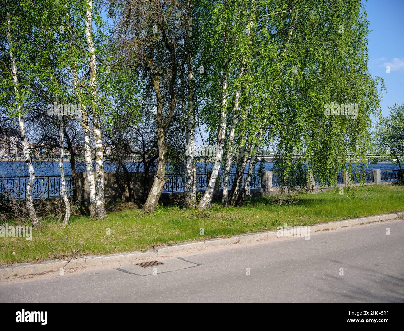 simple asphalt road in perspective with clear direction Stock Photo - Alamy