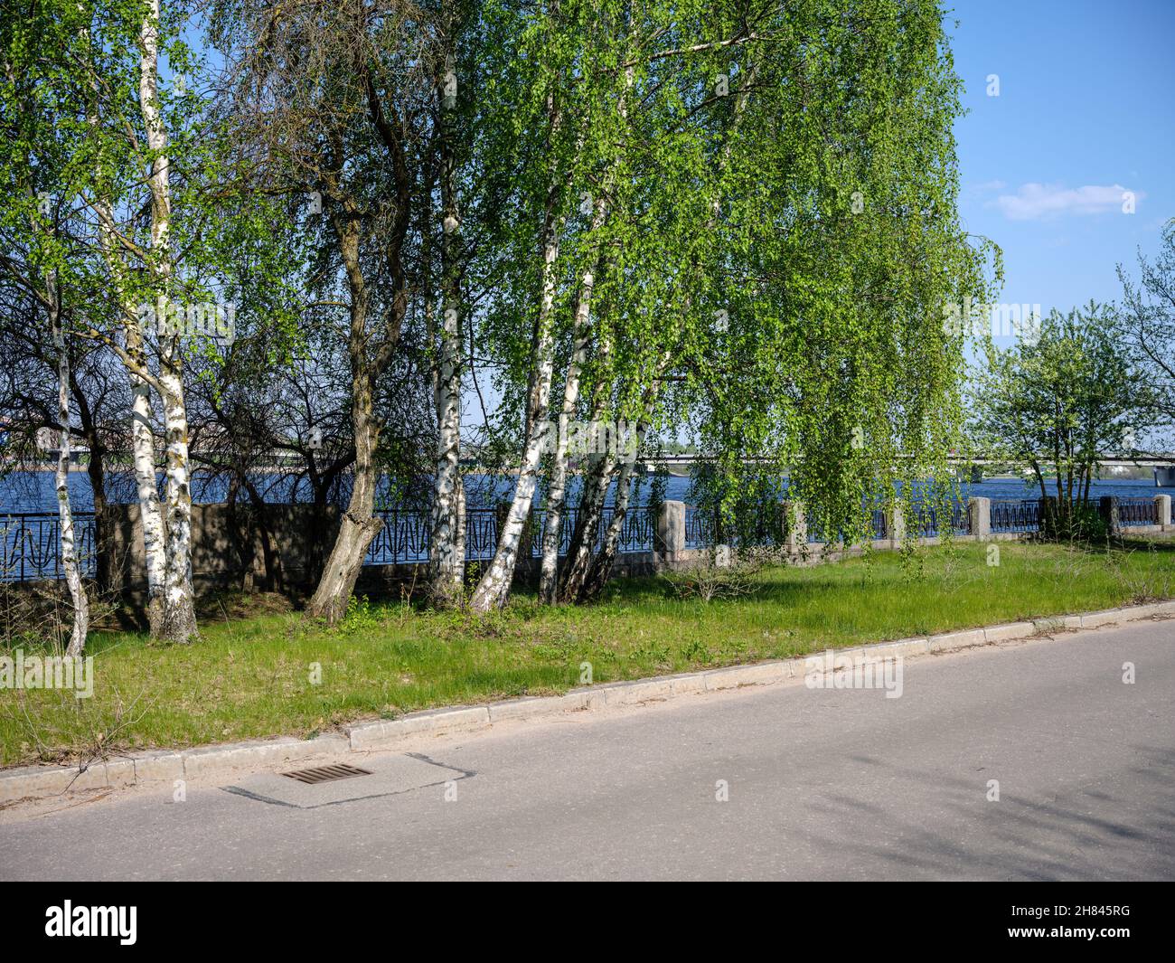 simple asphalt road in perspective with clear direction Stock Photo - Alamy