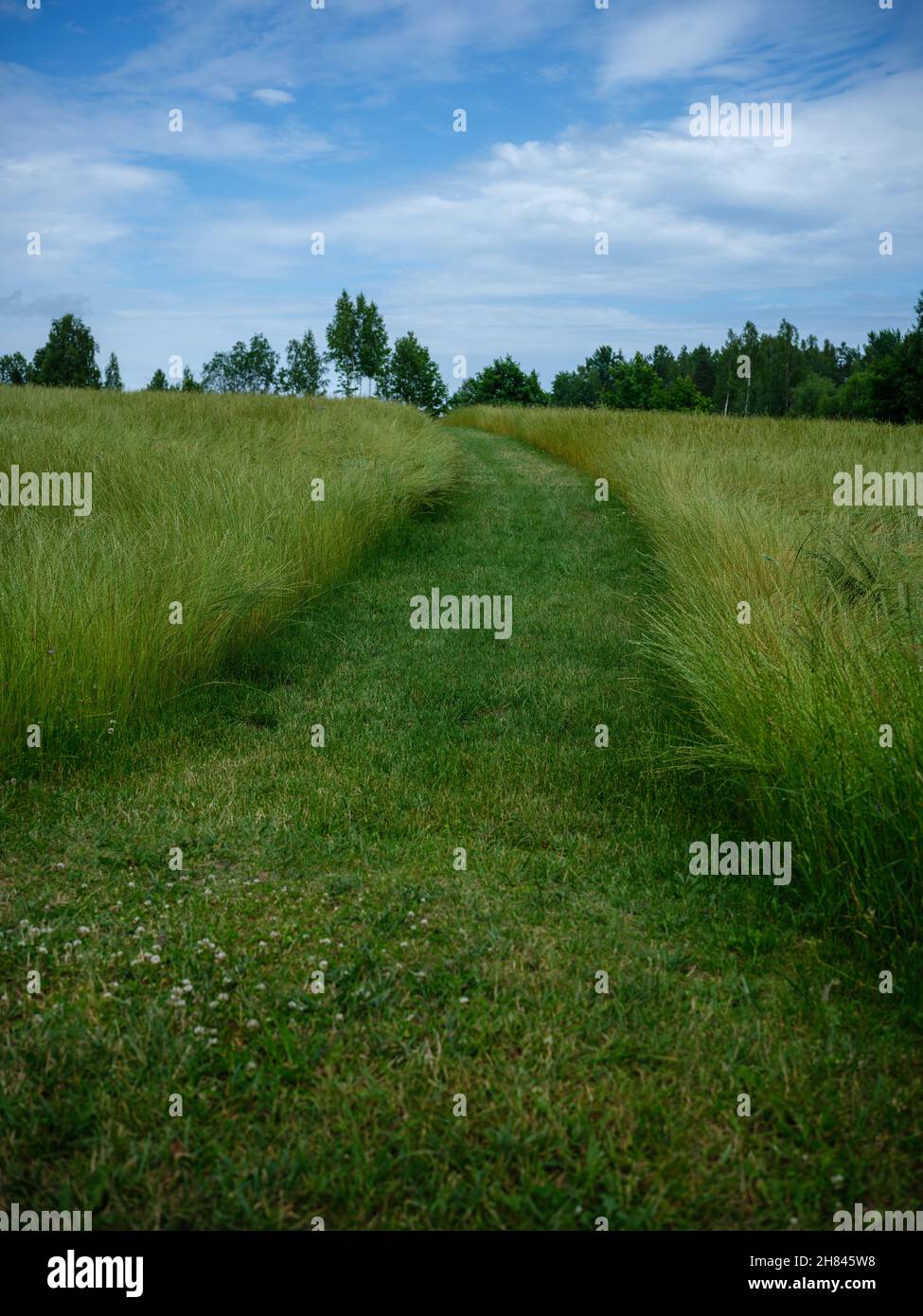 simple asphalt road in perspective with clear direction Stock Photo - Alamy