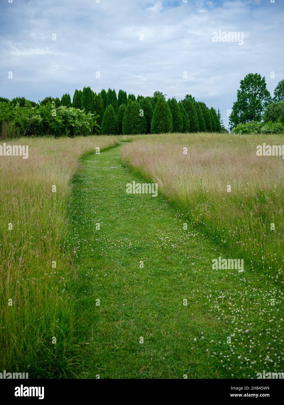 simple asphalt road in perspective with clear direction Stock Photo - Alamy