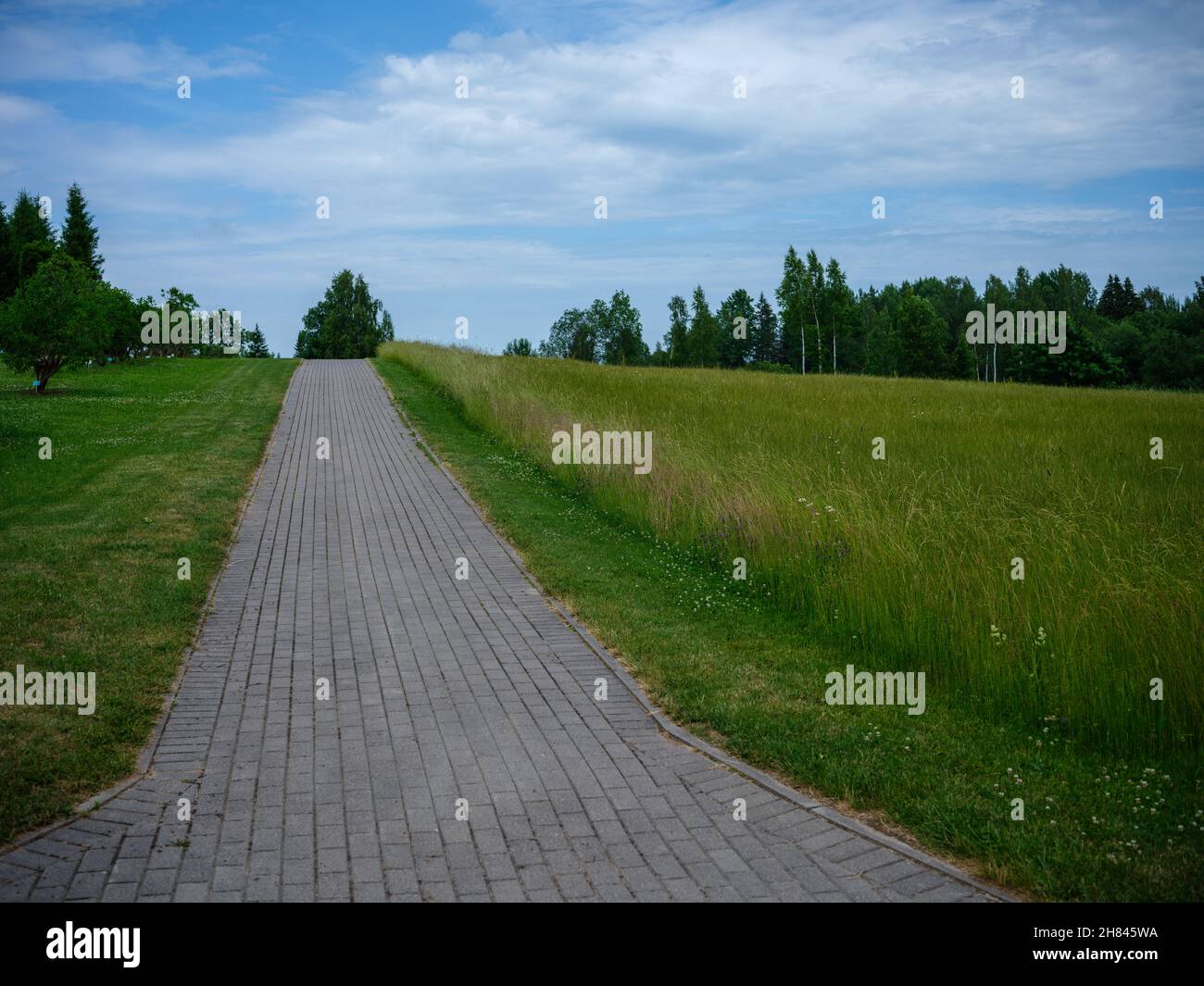 simple asphalt road in perspective with clear direction Stock Photo - Alamy