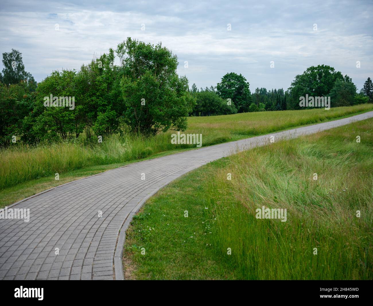 simple asphalt road in perspective with clear direction Stock Photo - Alamy