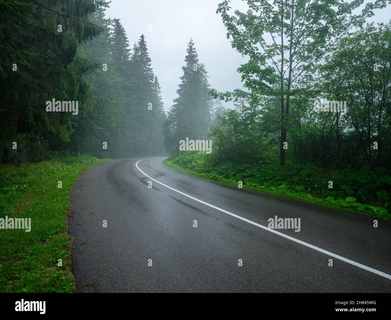 simple asphalt road in perspective with clear direction Stock Photo - Alamy