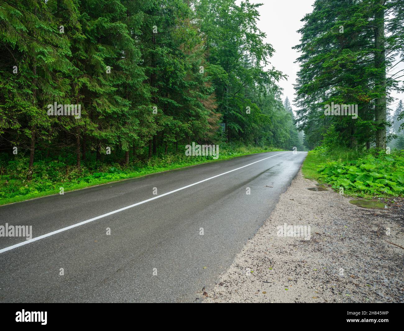 simple asphalt road in perspective with clear direction Stock Photo - Alamy